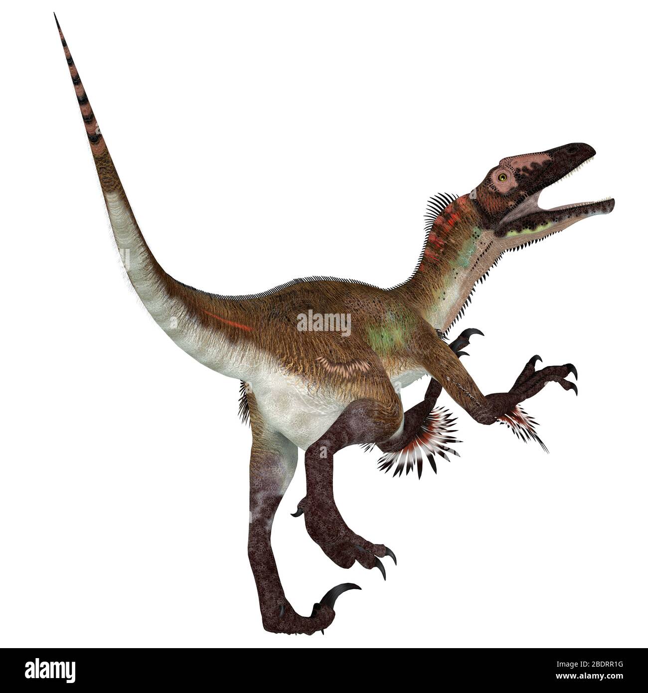 Dinosaure vicieux Banque de photographies et d’images à haute résolution - Alamy