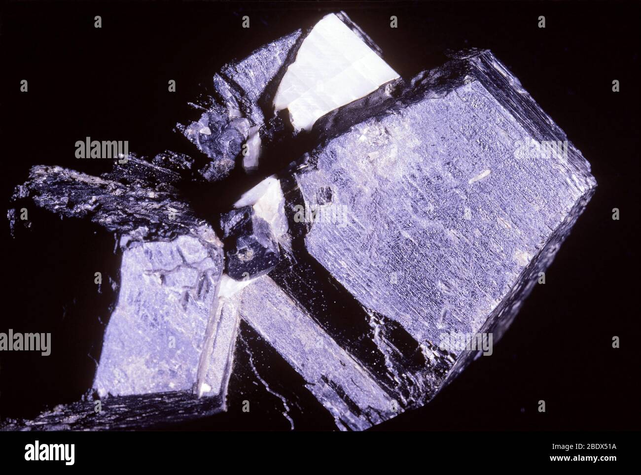 Hornblende amphibole Banque de photographies et d’images à haute ...