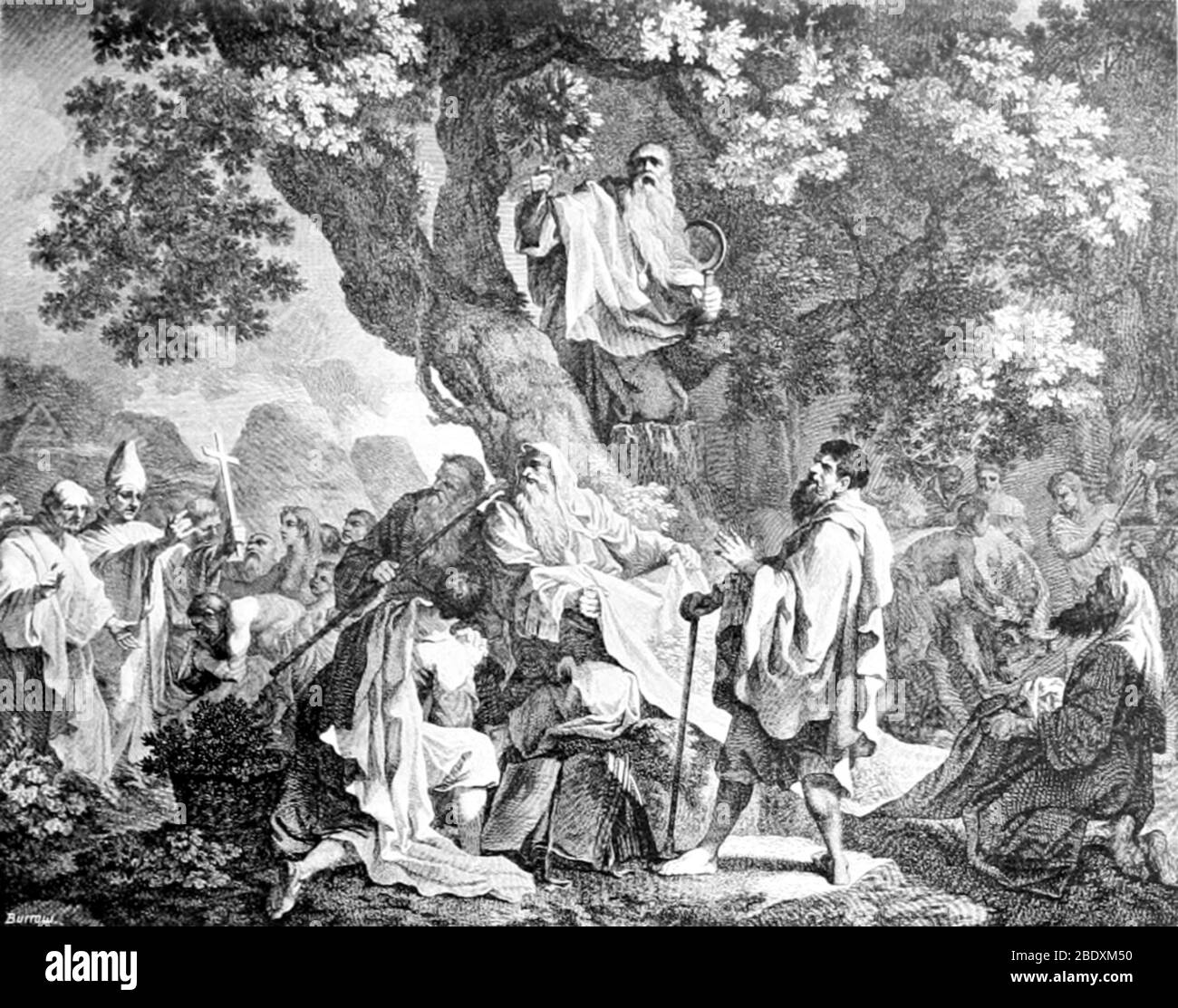 Chêne druide Banque d'images noir et blanc - Alamy