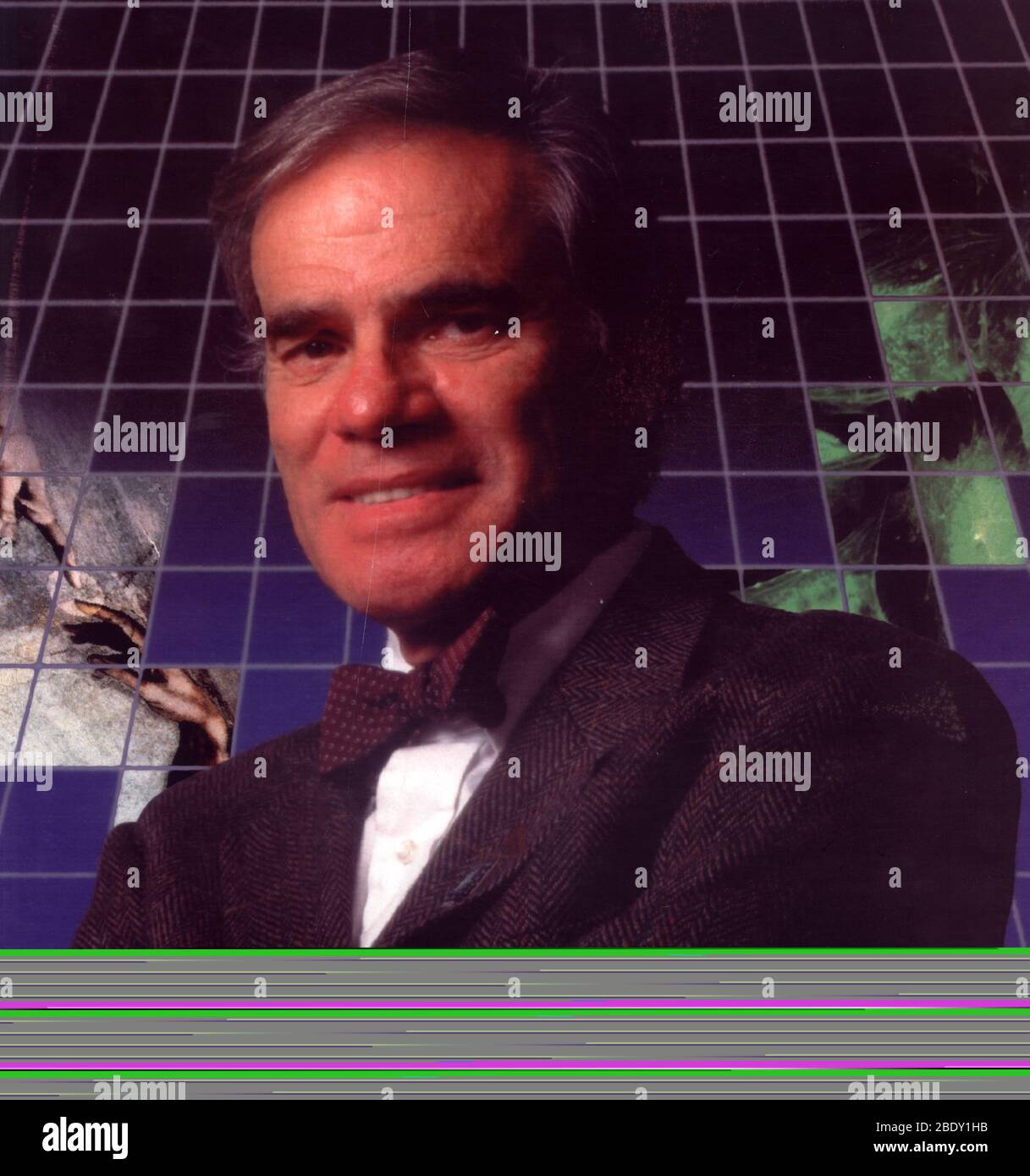 M robdell Banque de photographies et d’images à haute résolution - Alamy