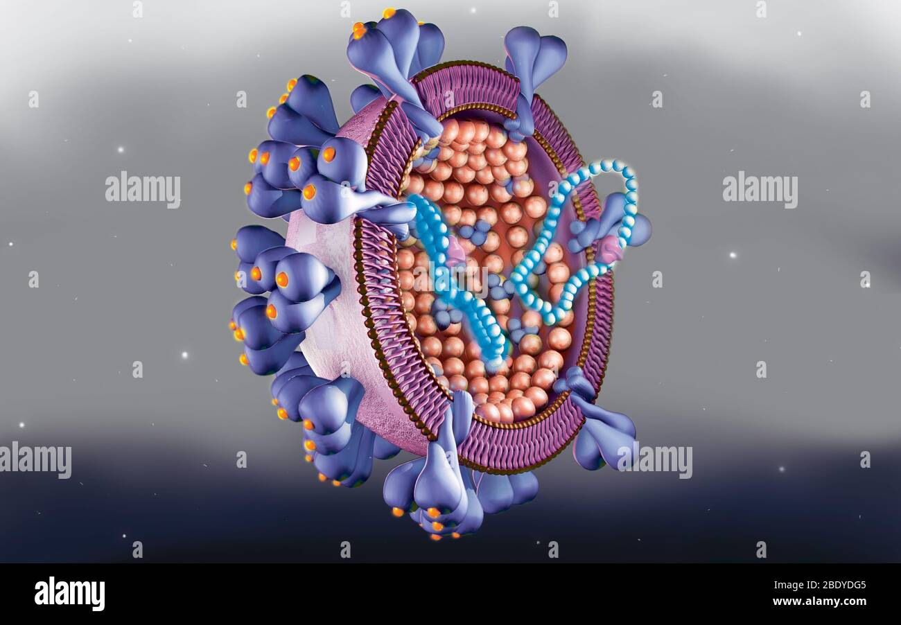 Viral hemorrhagic fever Banque de photographies et d’images à haute résolution - Alamy