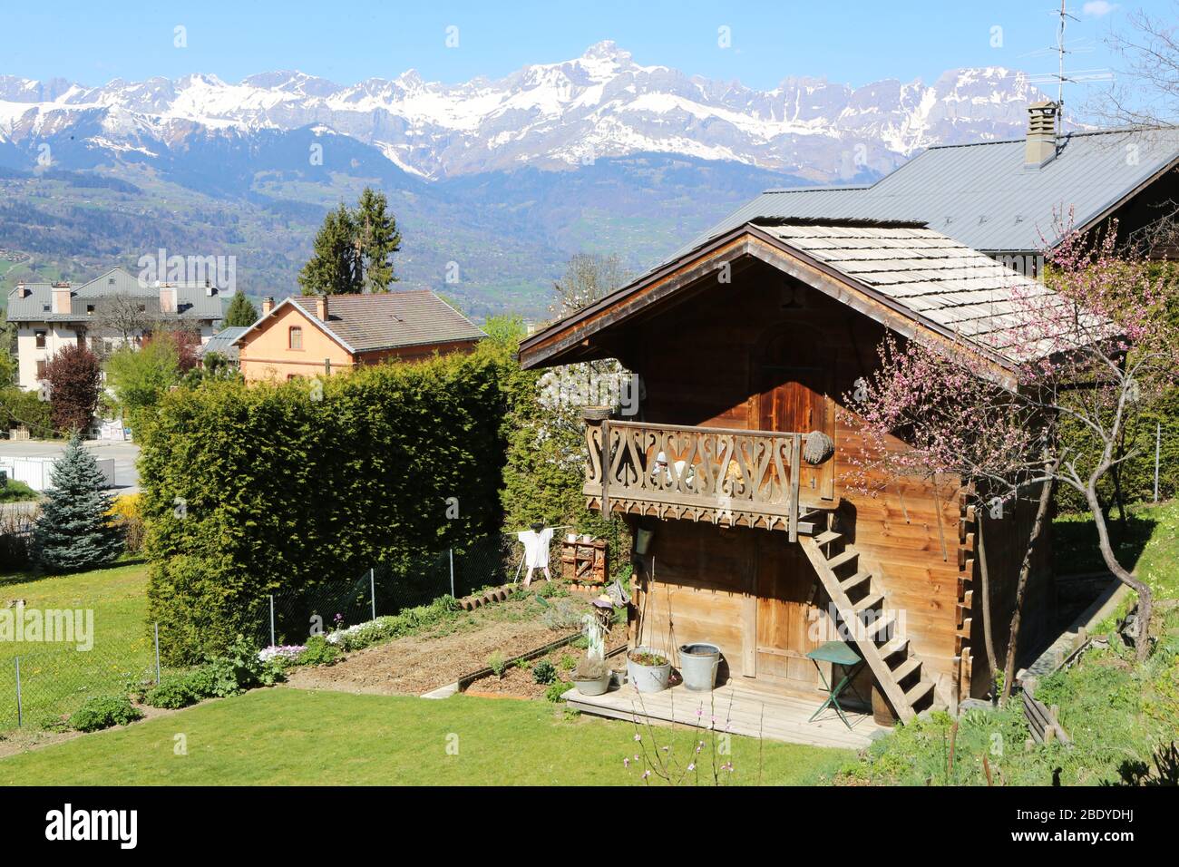 Arbre potager Banque de photographies et d’images à haute résolution ...
