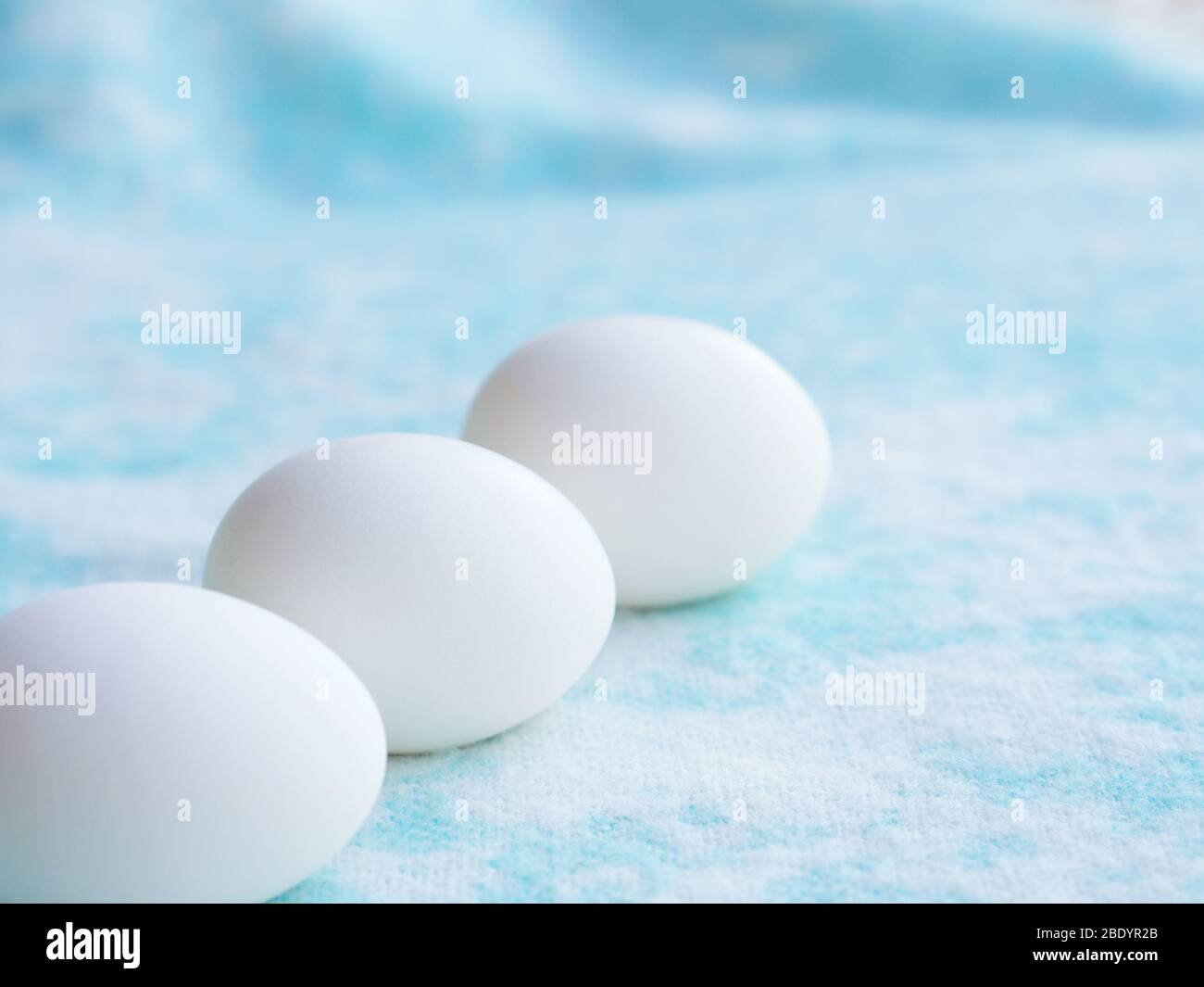 Oeufs bleu clair Banque de photographies et d’images à haute résolution ...