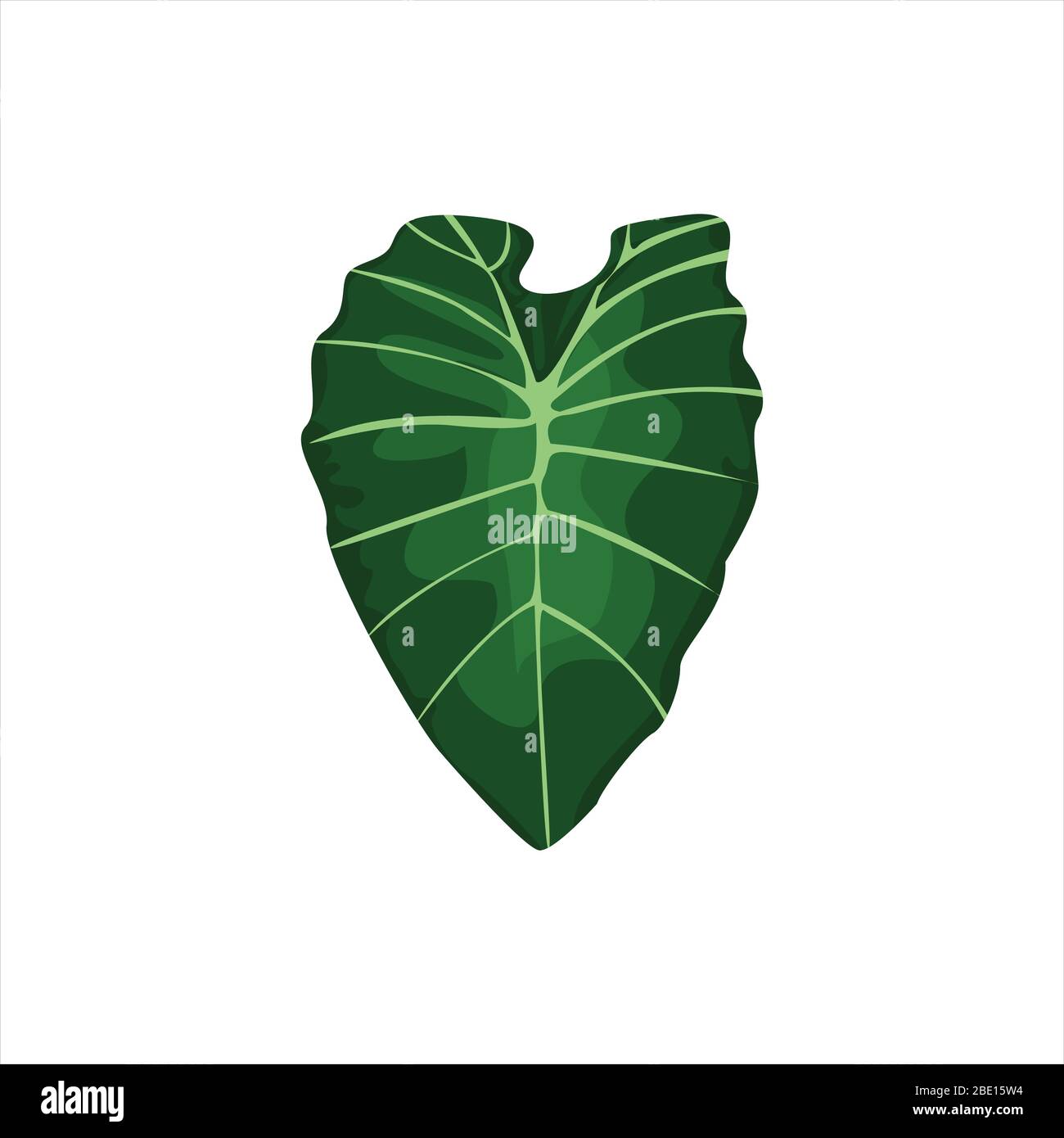 Feuille illustration Banque d'images vectorielles - Alamy