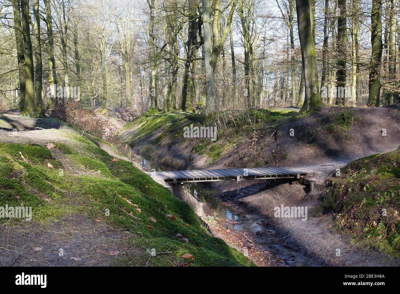 Arbres ede Banque de photographies et d’images à haute résolution - Alamy