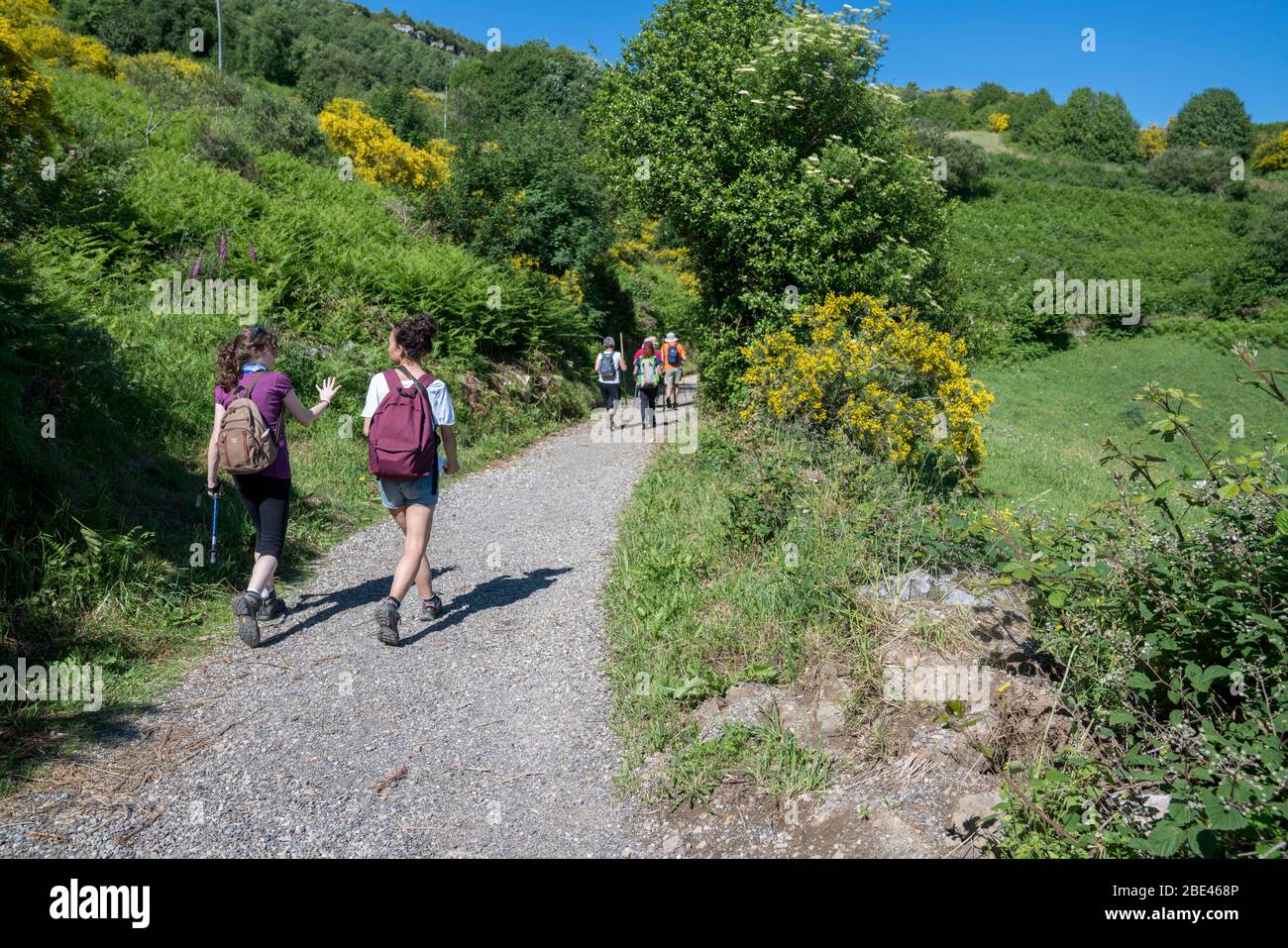 Espagne, Galice, Alto de San Roque, Camino de Santiago, la voie de ...