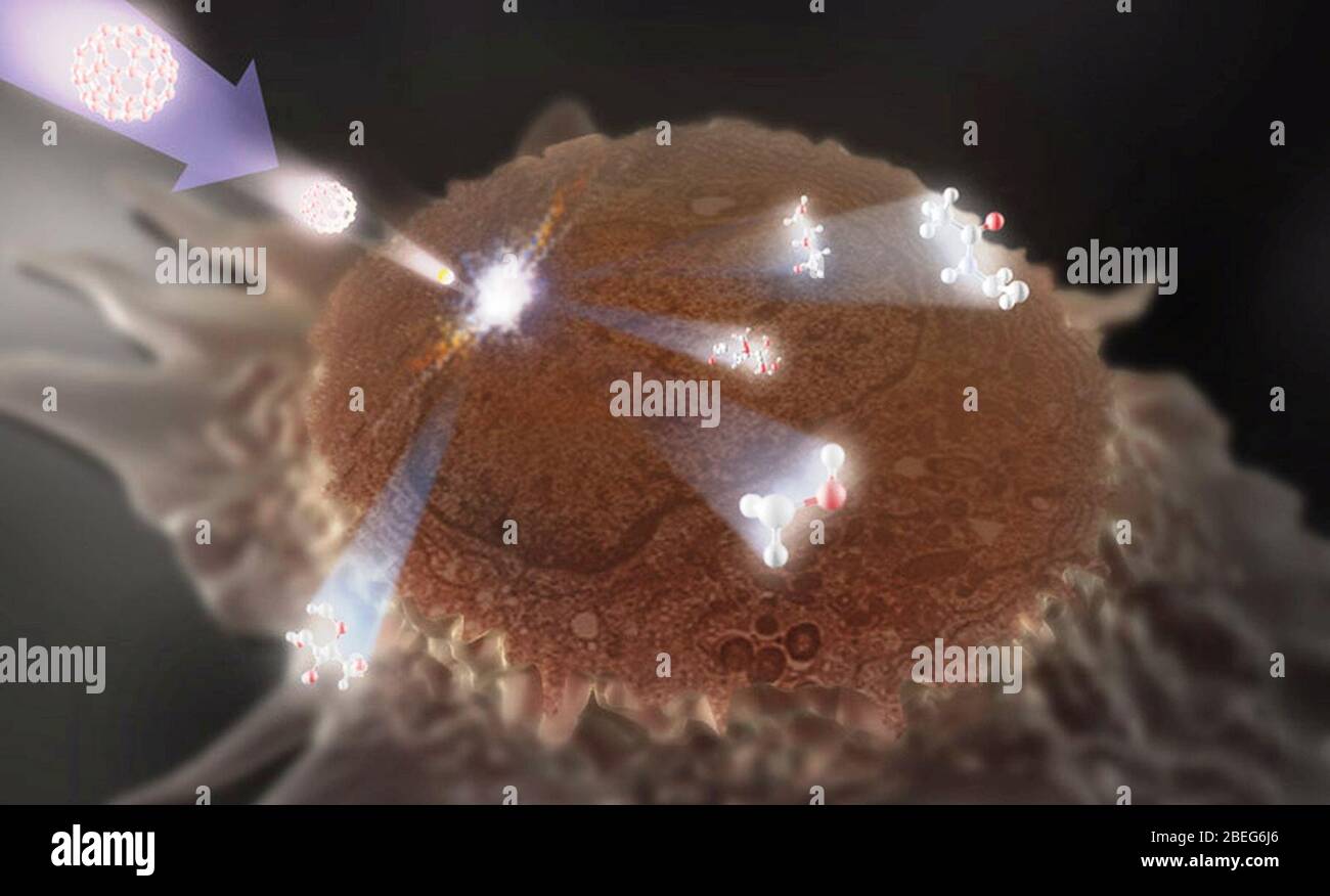 Hela Cell Banque d'image et photos - Alamy