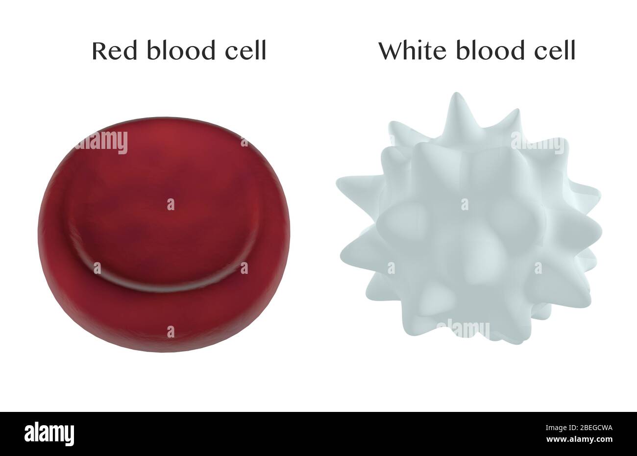 Globule rouge et blanc Banque de photographies et d’images à haute ...