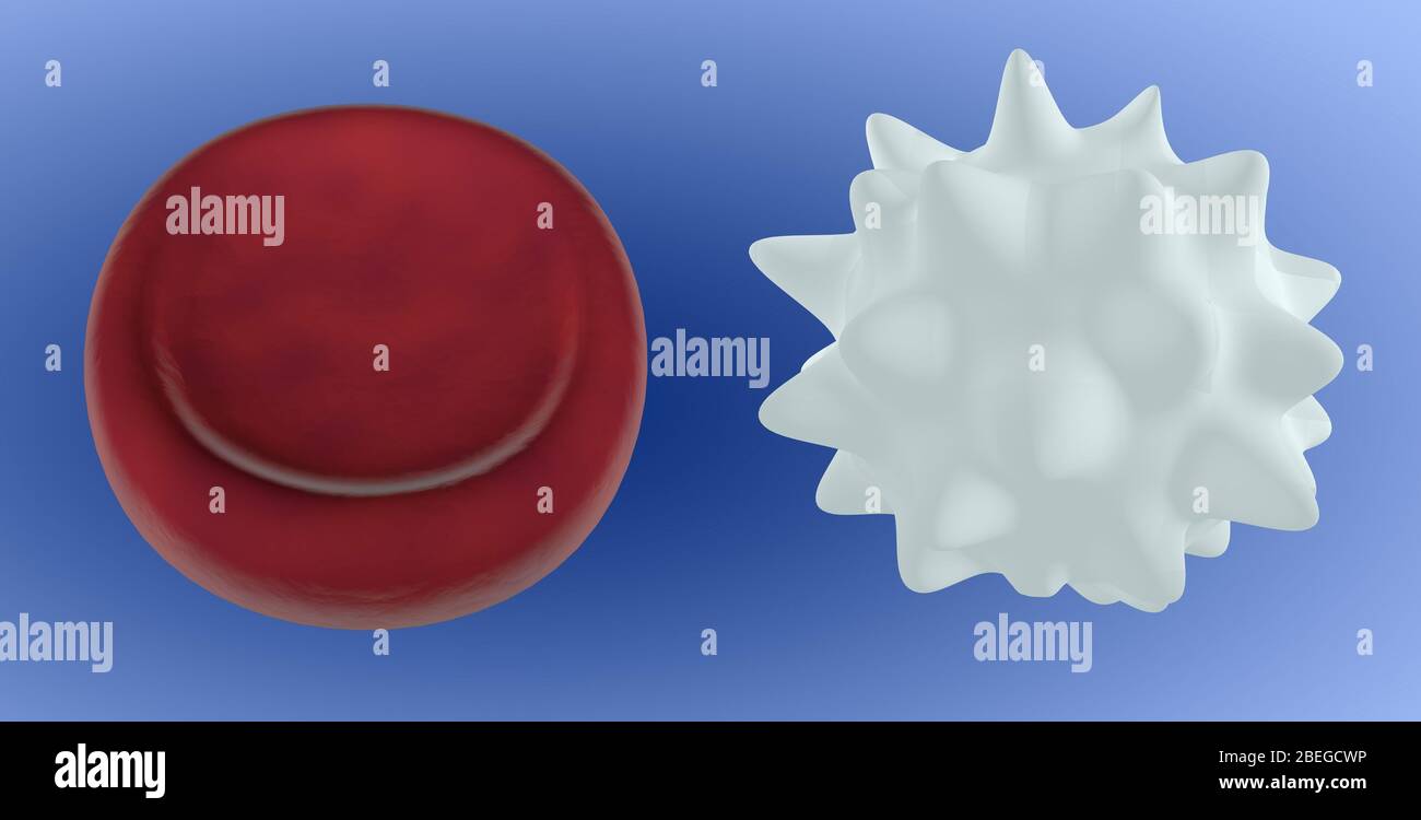 Globule rouge et blanc Banque de photographies et d’images à haute ...