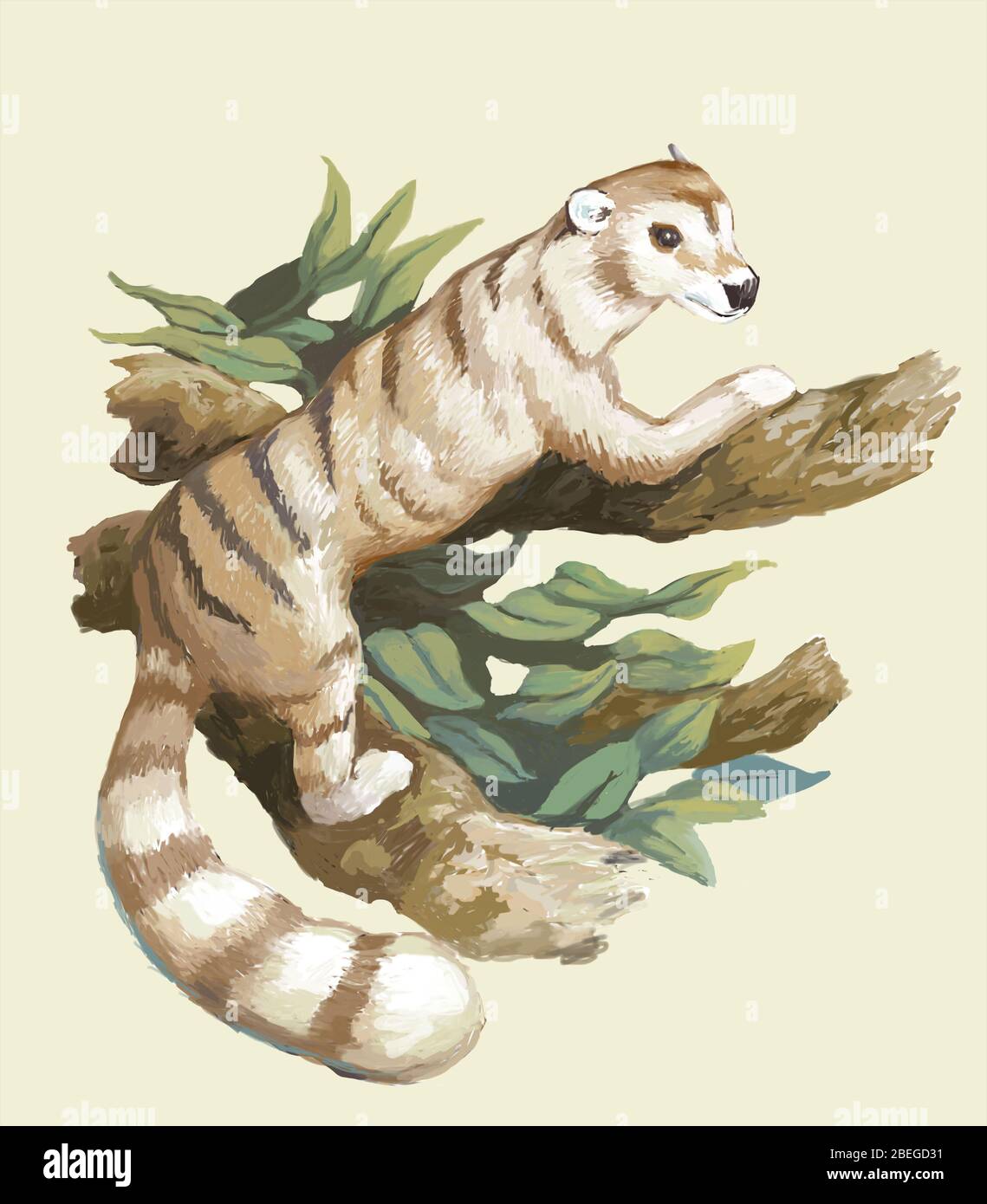 Paléocène éocène Banque de photographies et d’images à haute résolution ...