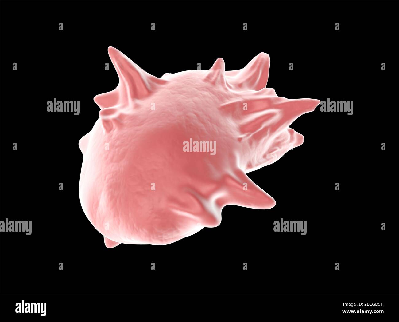 Tonicité cellulaire Banque de photographies et d’images à haute ...