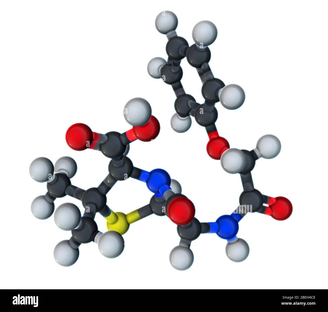 Penicillin v Banque de photographies et d’images à haute résolution - Alamy
