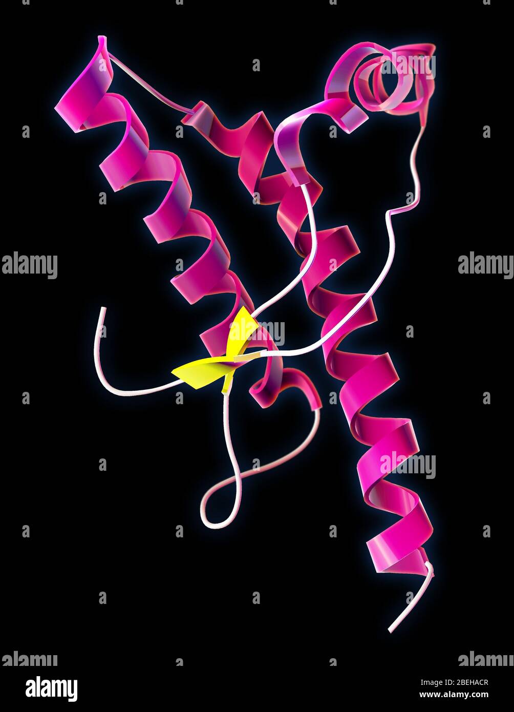 Protein molecule Banque de photographies et d’images à haute résolution ...