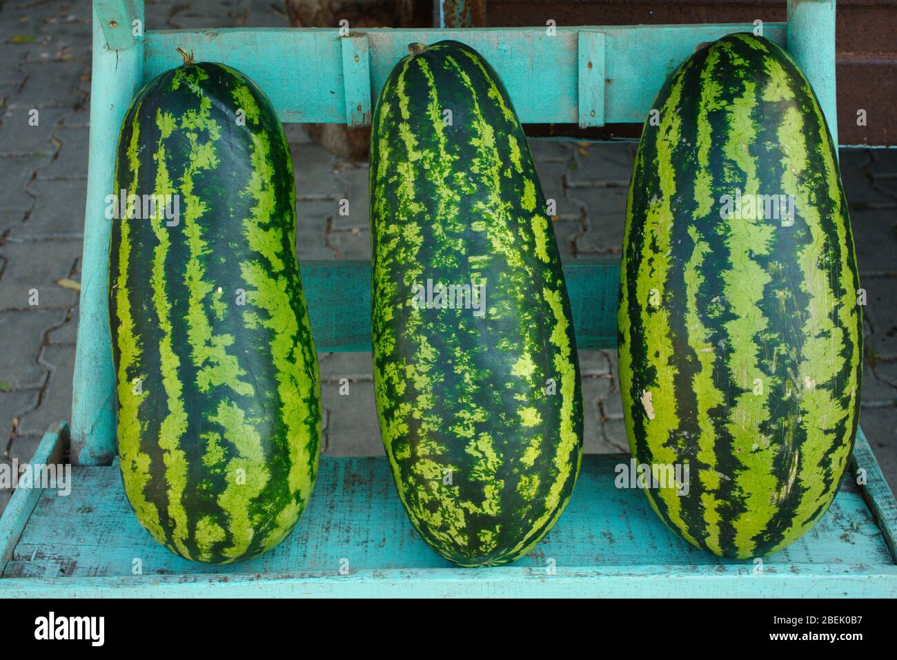 Pasteque longue Banque de photographies et d’images à haute résolution ...