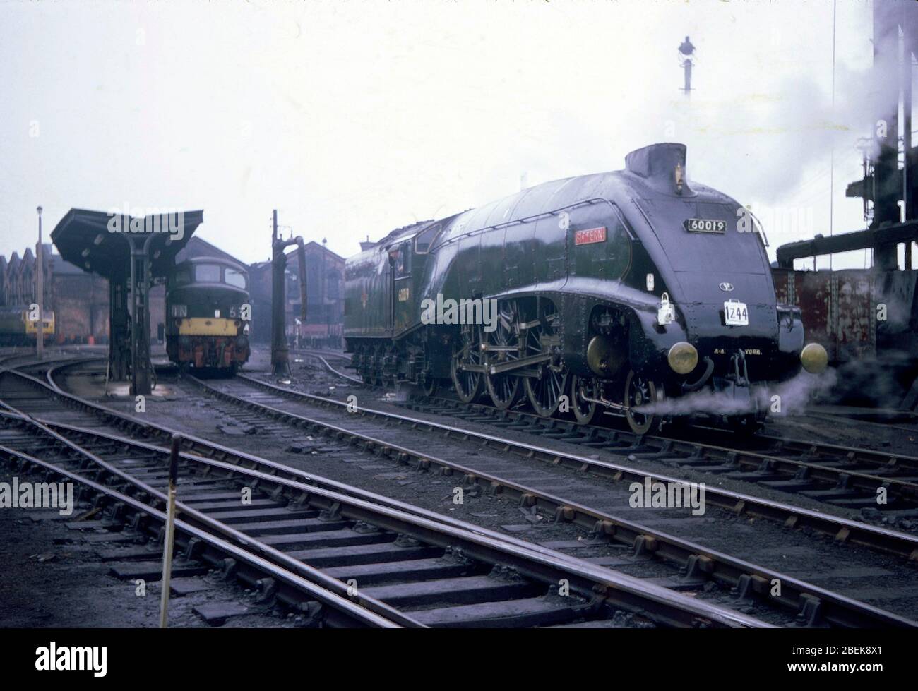 British railway 1960s Banque de photographies et d’images à haute ...
