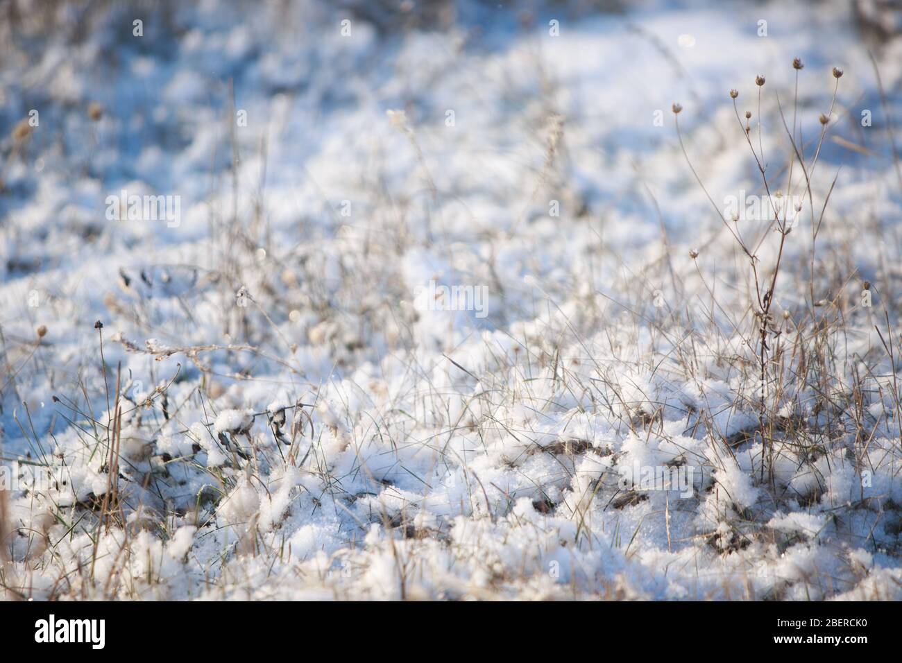 Couverture blanche de neige au sol Banque de photographies et d’images ...