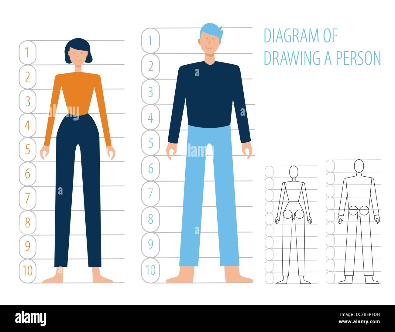 Anatomie du corps humain homme et femme. Plan de construction et de ...