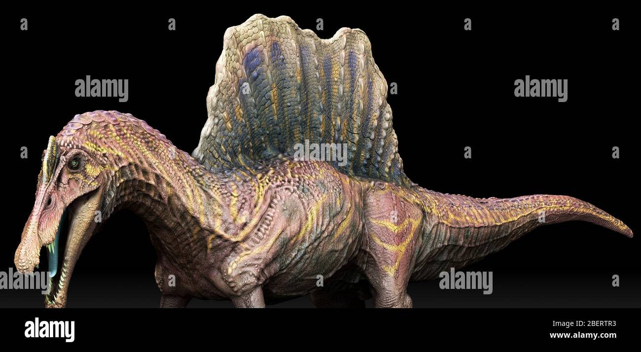 Spinosaurus dinosaur Banque de photographies et d’images à haute résolution - Alamy