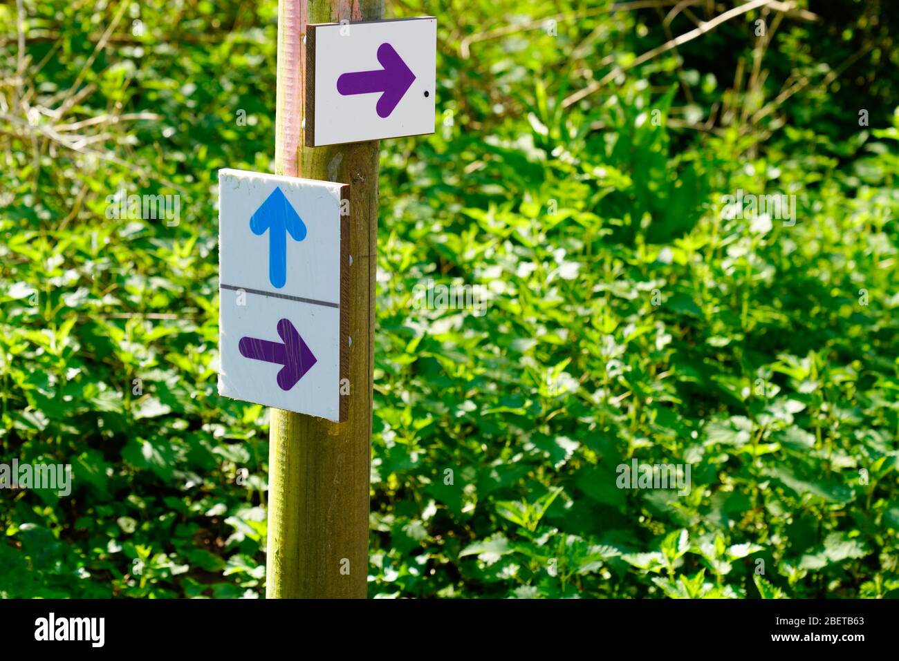 marquage par flèche de couleur du chemin de randonnée Photo Stock - Alamy