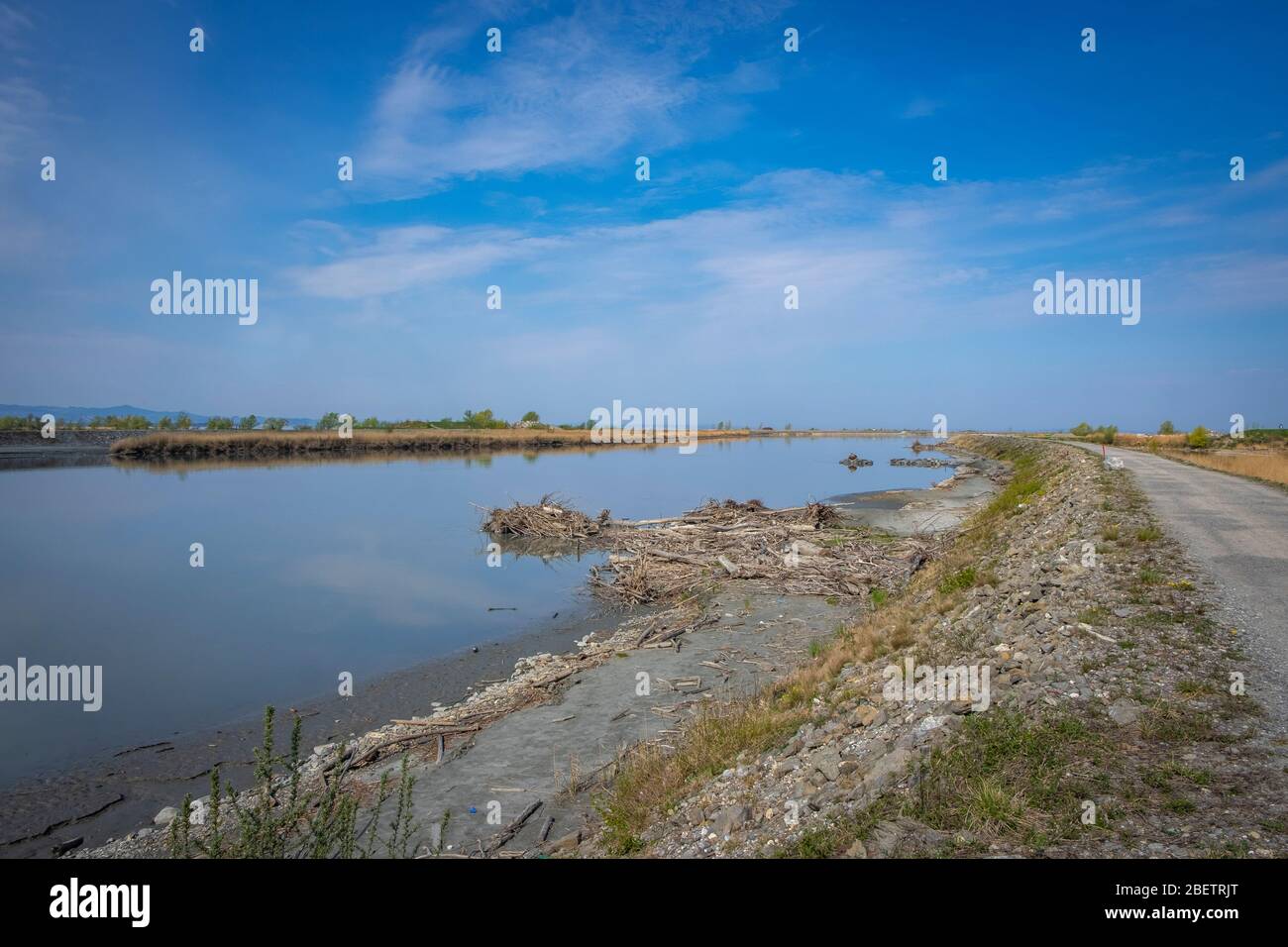 Embouchure du rhin et du lac de constance Banque de photographies et d ...