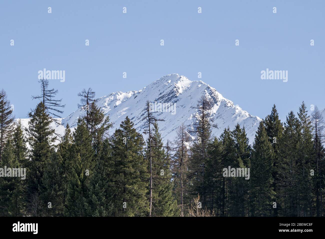 vue rapprochée du sommet de la montagne avec arbres et neige le jour ...