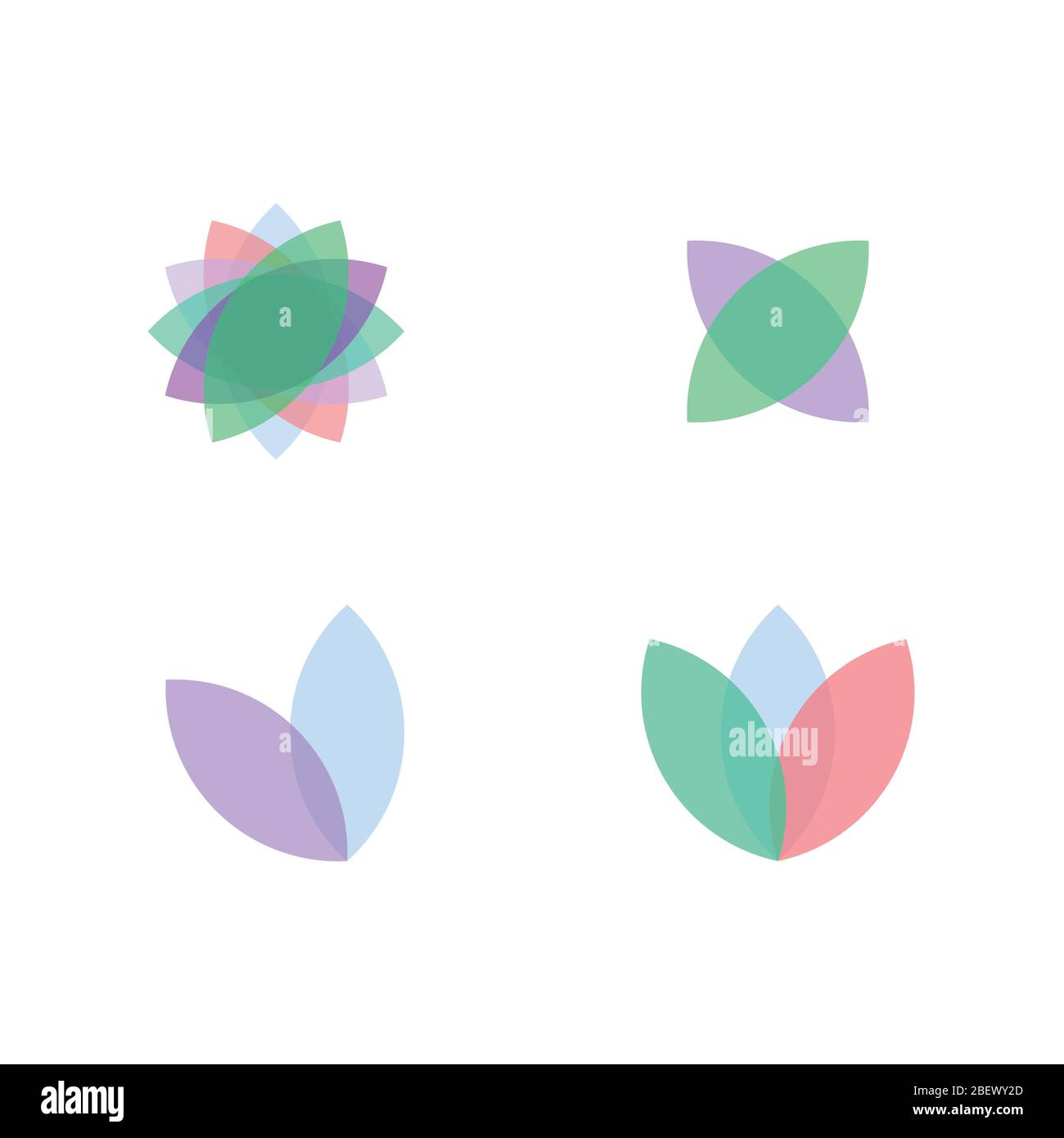 Fleur transparente Banque de photographies et d’images à haute ...