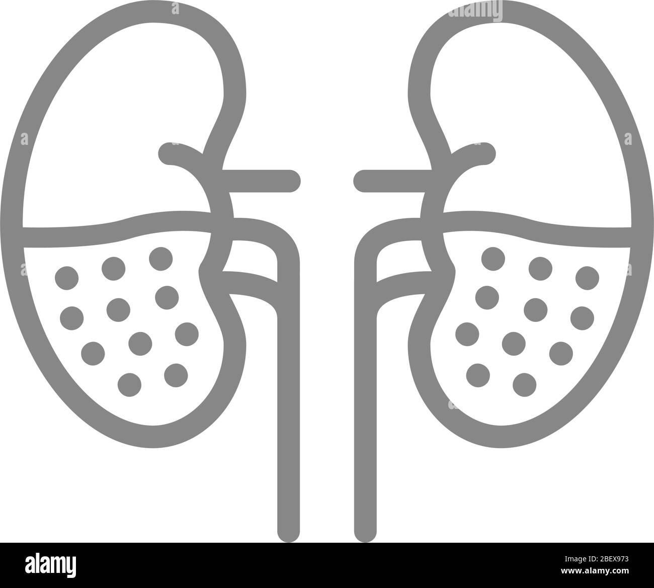 Icône de ligne de maladie rénale chronique. Organe humain pour le ...