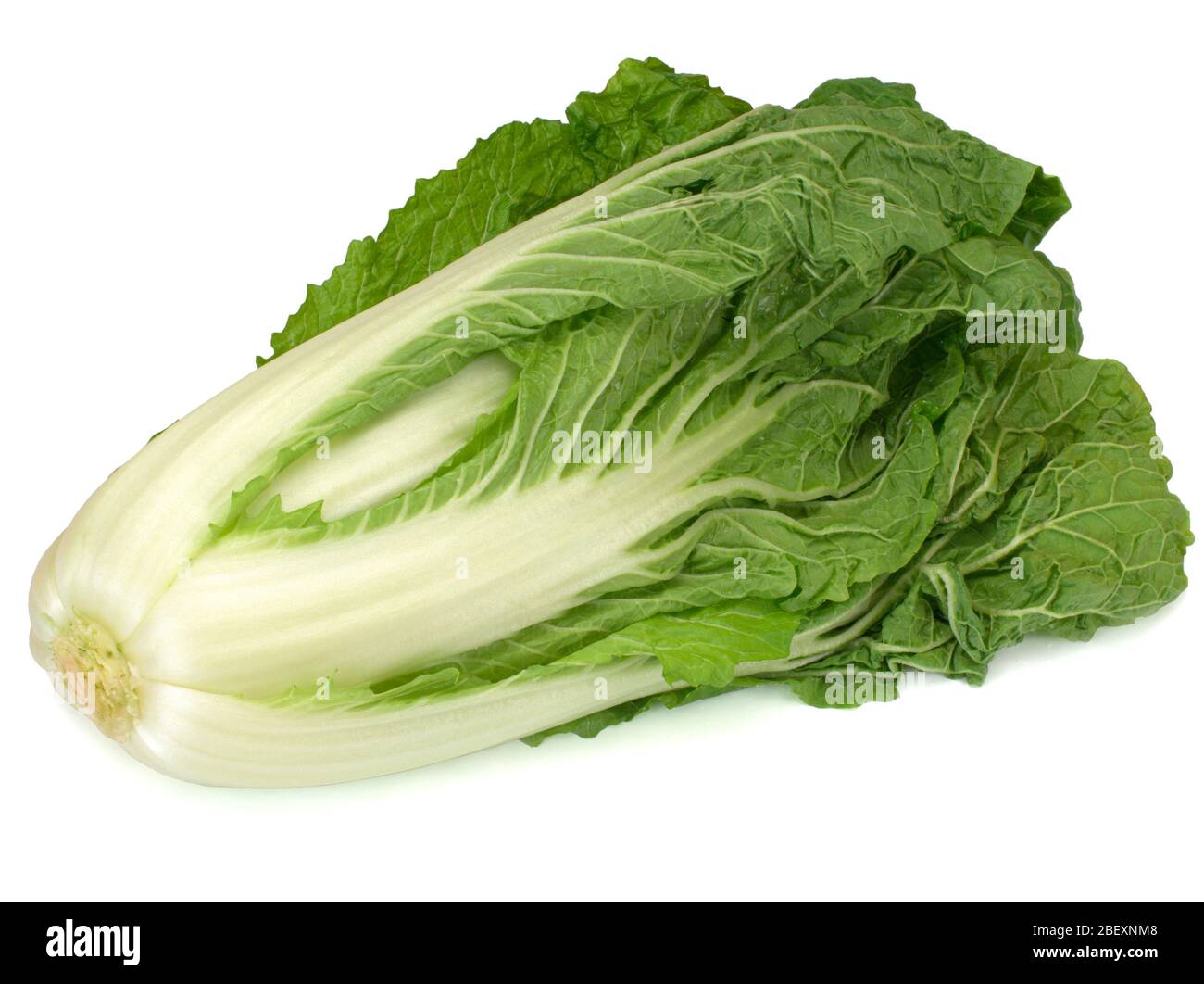 Feuilles de chou chinois Banque d'images détourées - Alamy