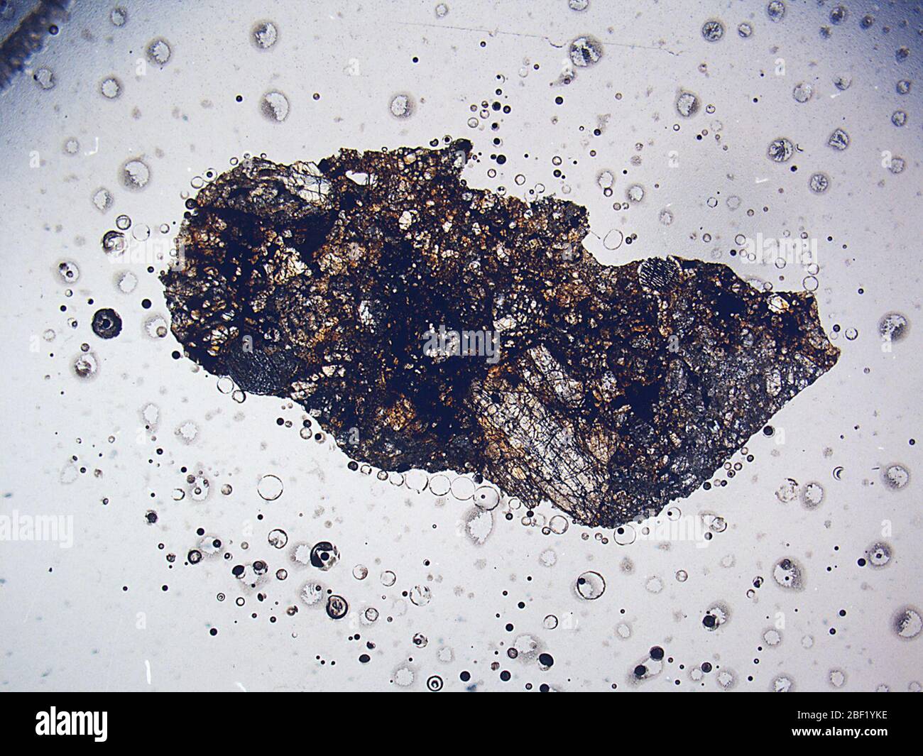 Vincent may Banque de photographies et d’images à haute résolution - Alamy