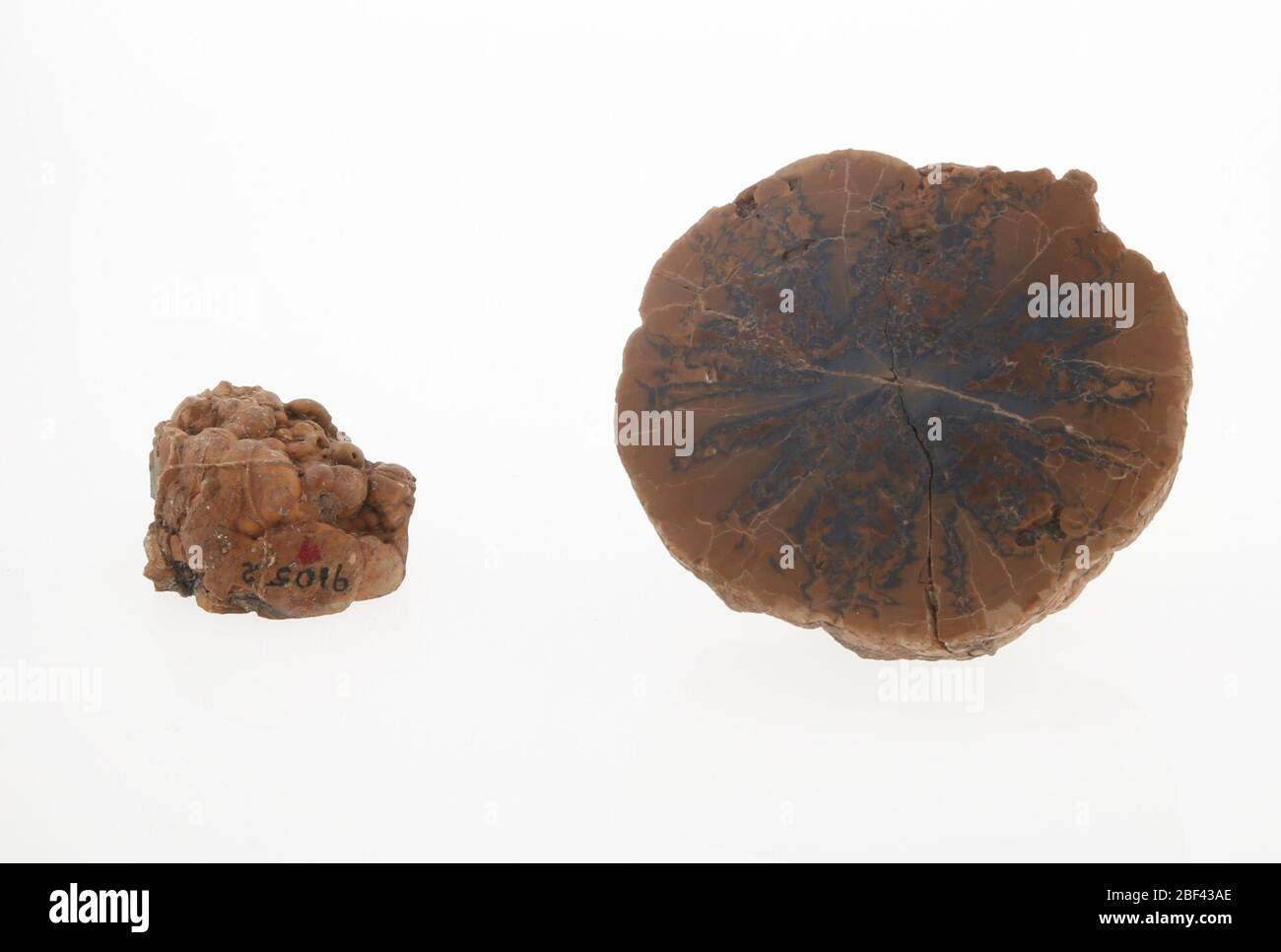 Roche siliceuse Banque de photographies et d’images à haute résolution ...