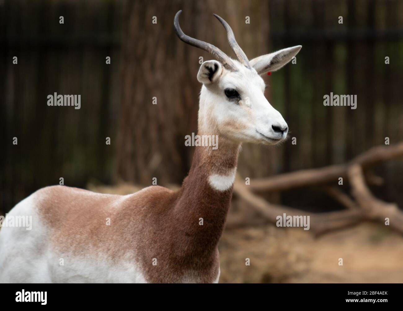 Même aux doigts Banque de photographies et d’images à haute résolution ...