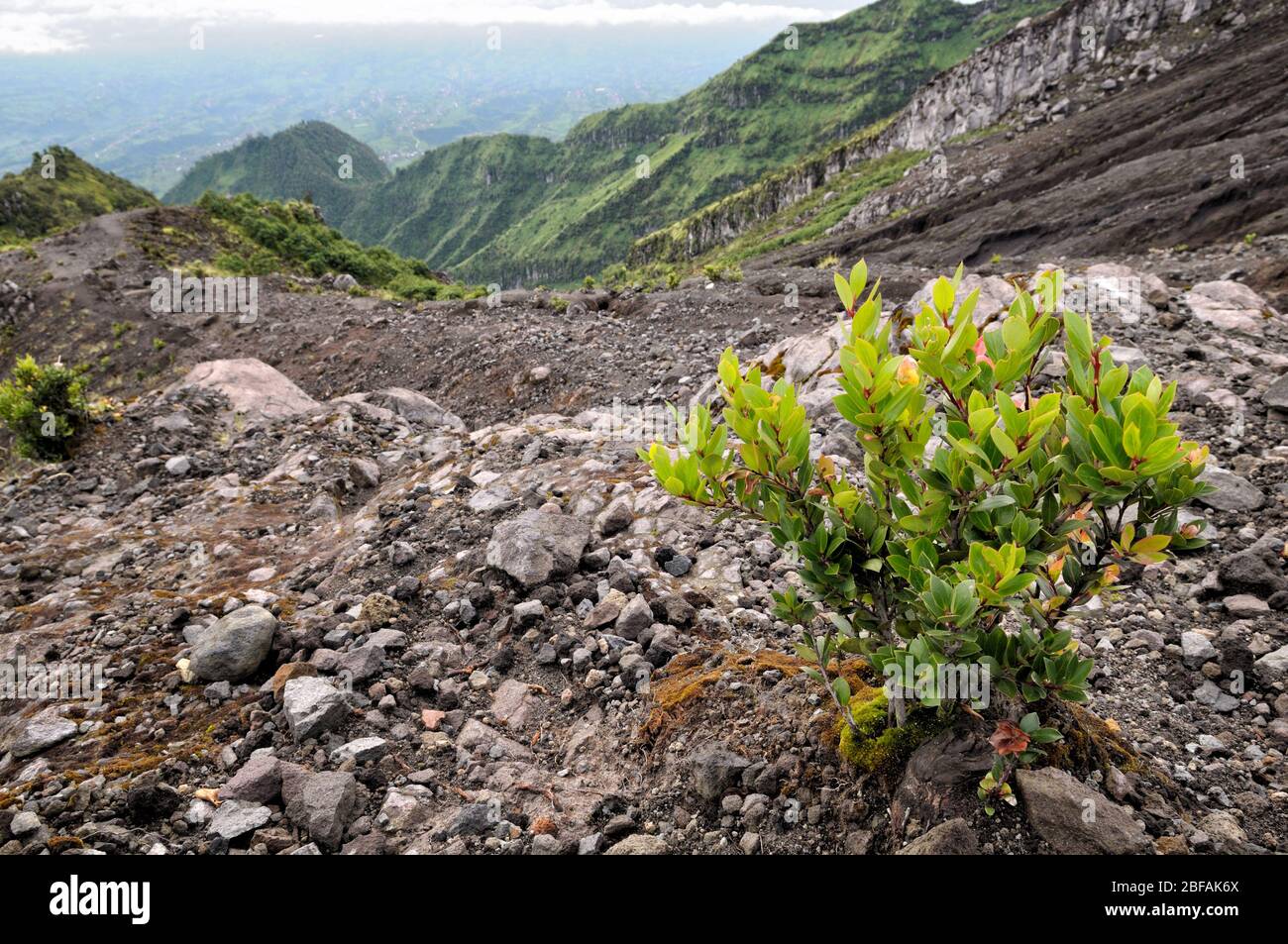 Volcan gunung merapi Banque de photographies et d’images à haute ...