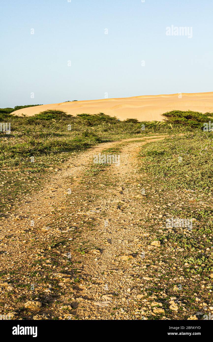 Medanos blancos Banque de photographies et d’images à haute résolution ...