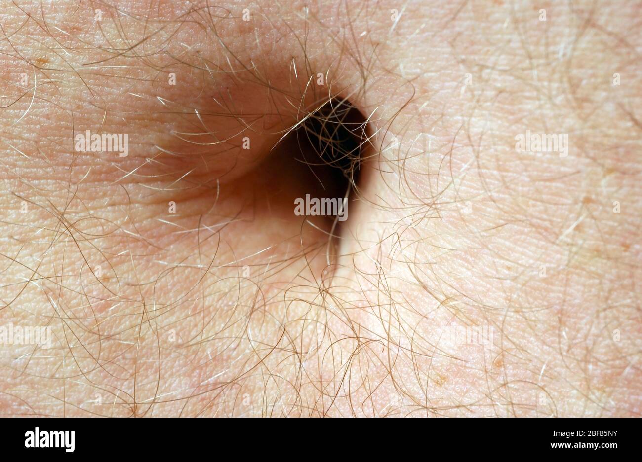 Nombril velu Banque de photographies et d’images à haute résolution - Alamy