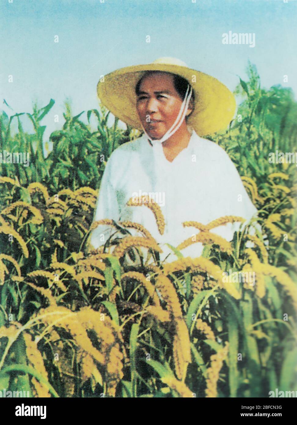 Mao petit livre rouge Banque de photographies et d’images à haute ...