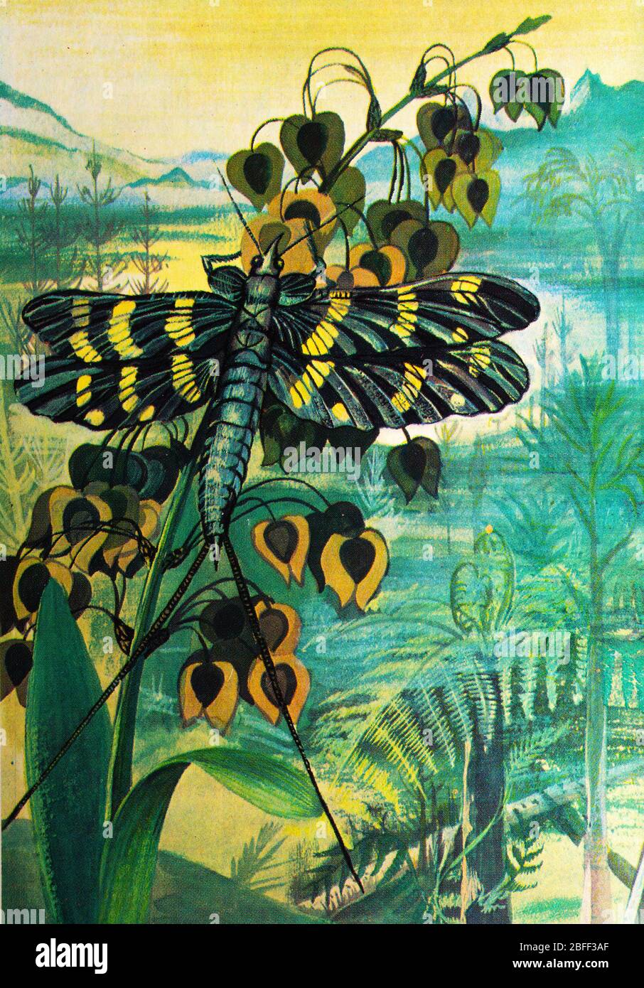 Animal préhistorique Banque de photographies et d’images à haute ...