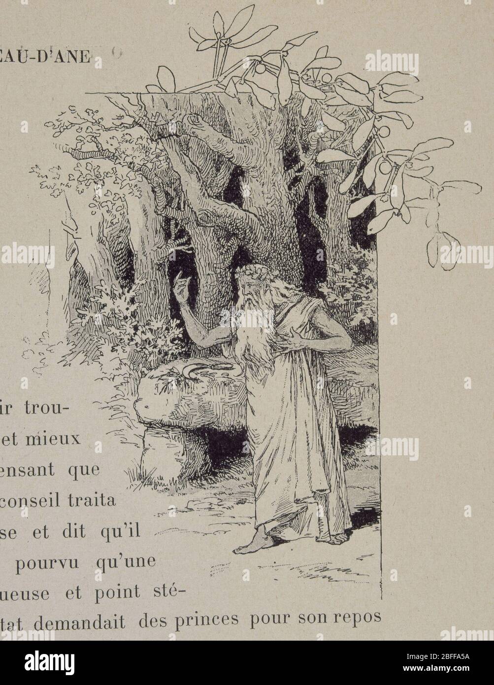 DRUIDA Y REY-DIBUJO DE DRUIDA-ILUSTRACION PARA CUENTO DE PERRAULT'PIEL ...