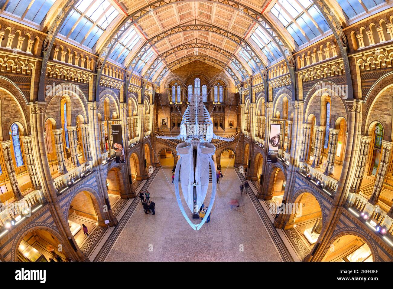 Darwin Architecture Banque D image Et Photos Alamy Darwin Architecture Banque D image Et Photos Alamy