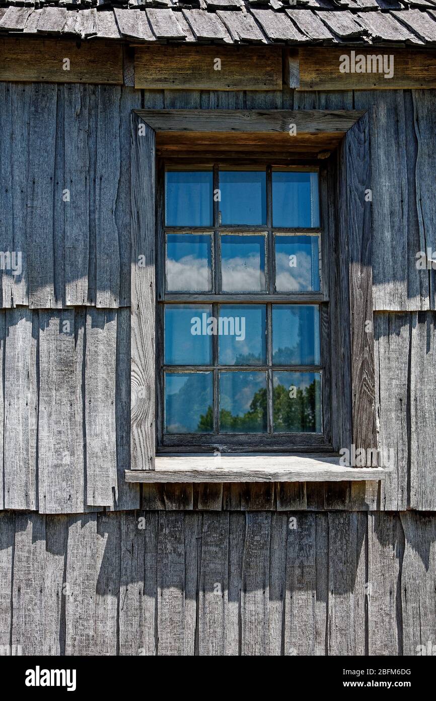 Fenêtre, ancienne cabane en bois, 12 volets, partiellement ombragés par ...