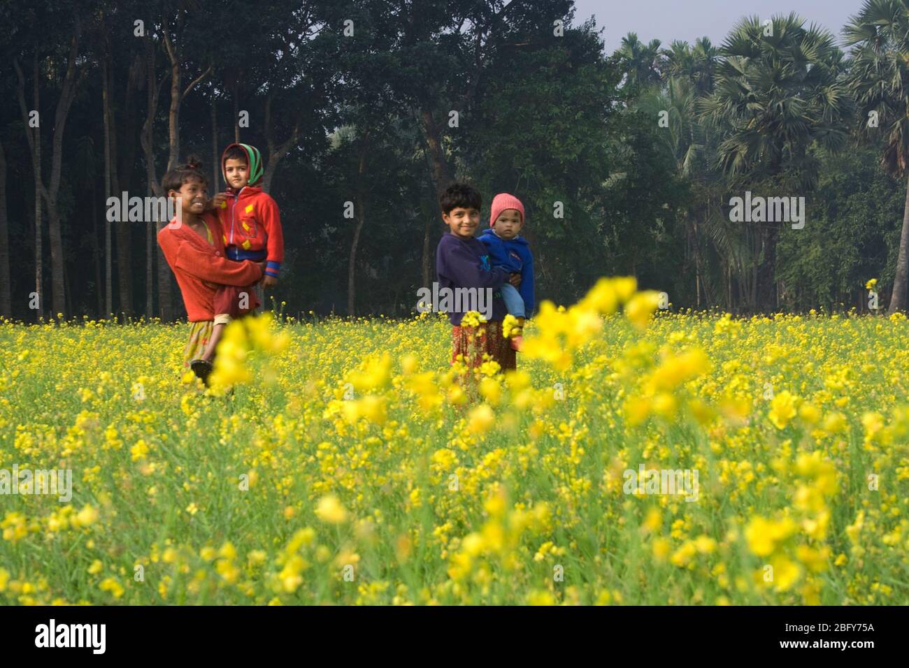 Enfants Dans Un Champ De Moutarde Banque De Photographies Et Dimages à