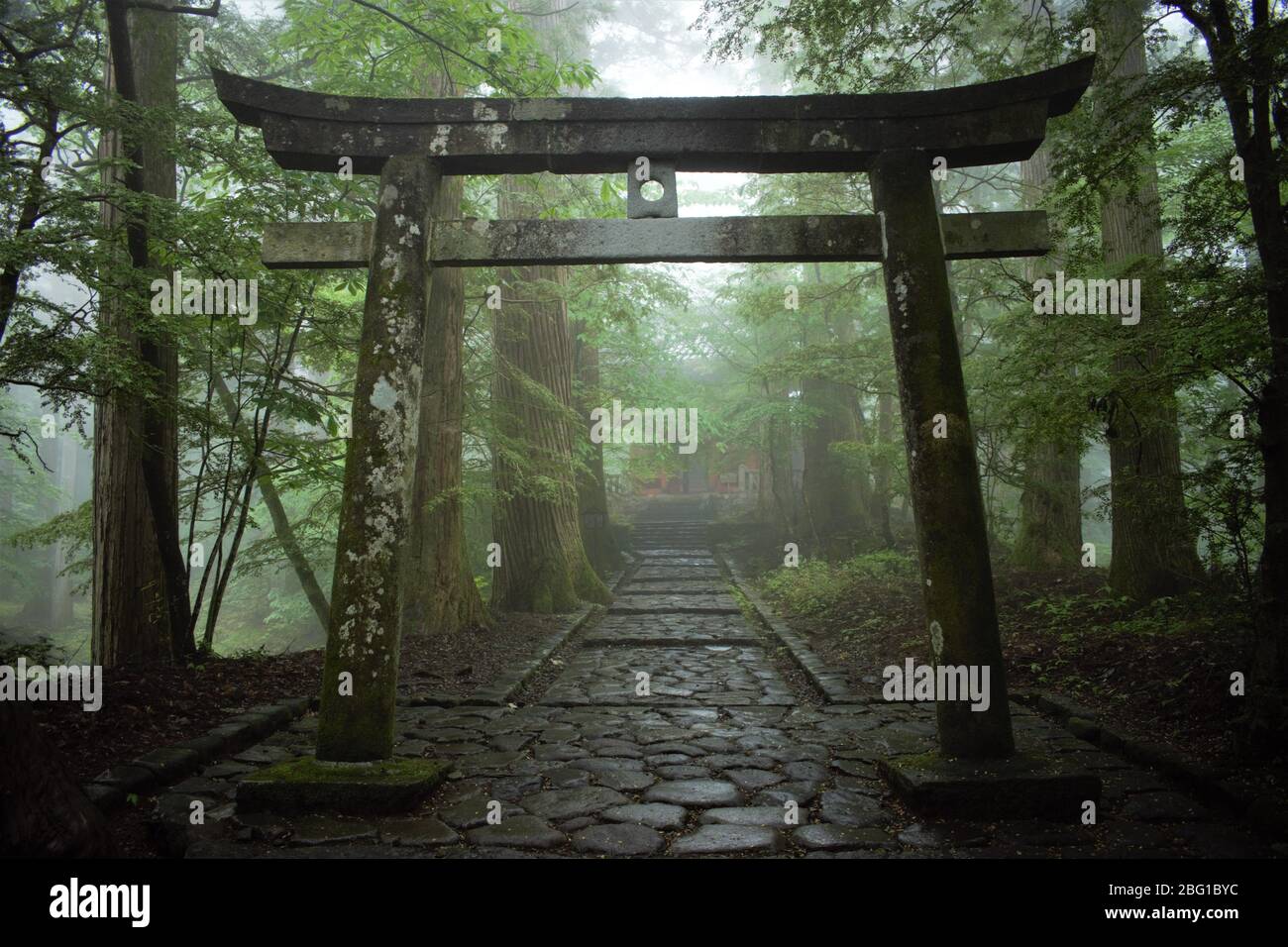 Torii gate nikko shrine unesco Banque de photographies et d’images à ...