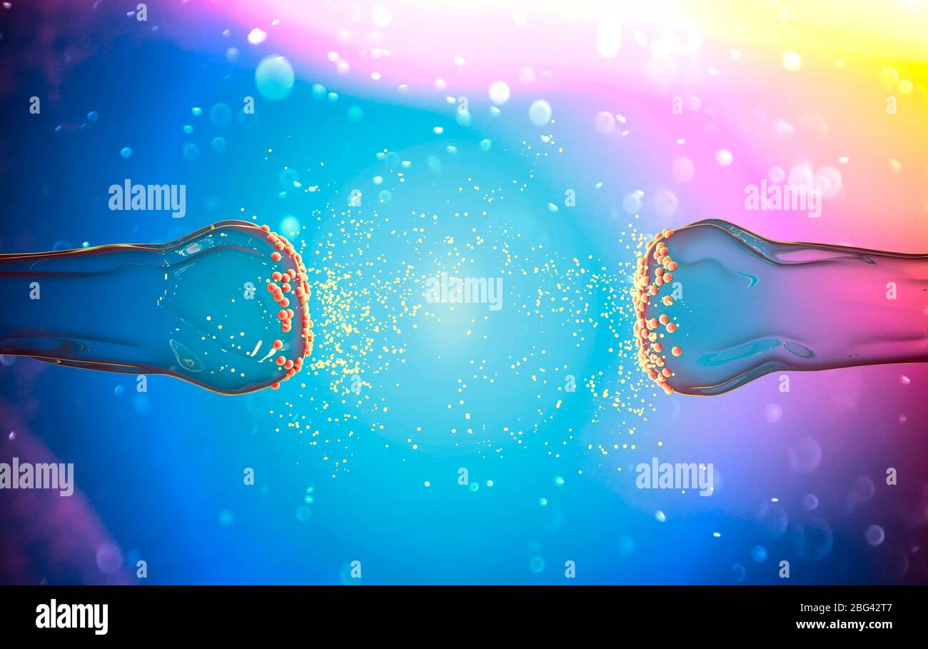 Connexions Synapse Structure Qui Permet à Un Neurone Ou Une Cellule