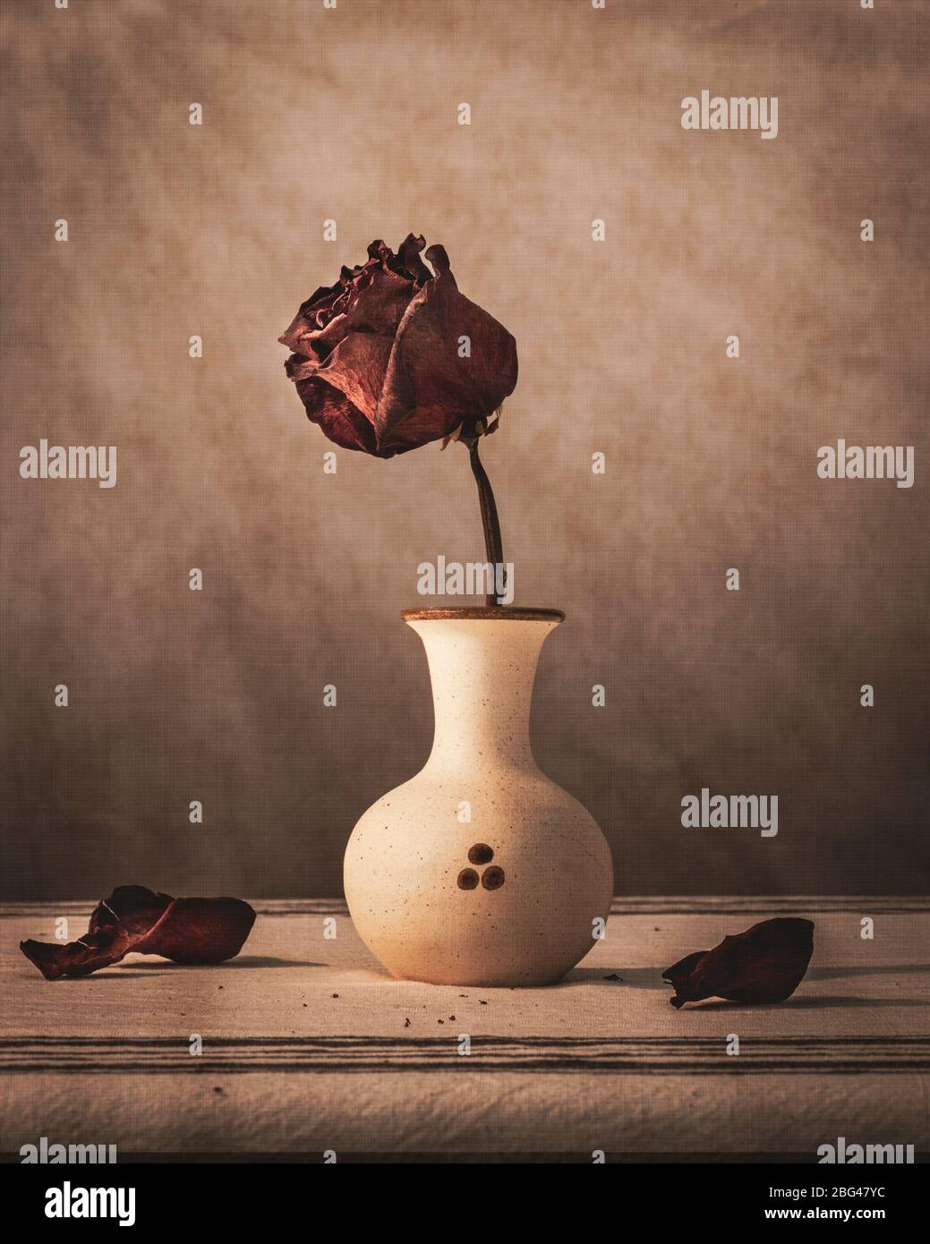 Rose Rouge Fanée Banque d'image et photos - Alamy