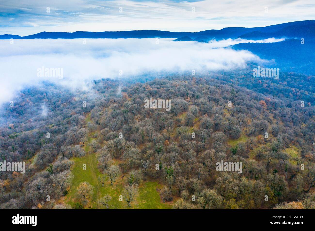 Deciduous Forest Aerial Banque d'image et photos - Alamy