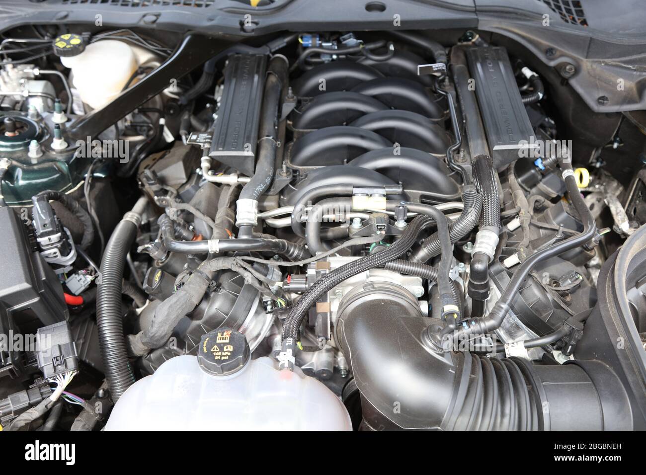 Ford mustang engine bay car Banque de photographies et d’images à haute ...