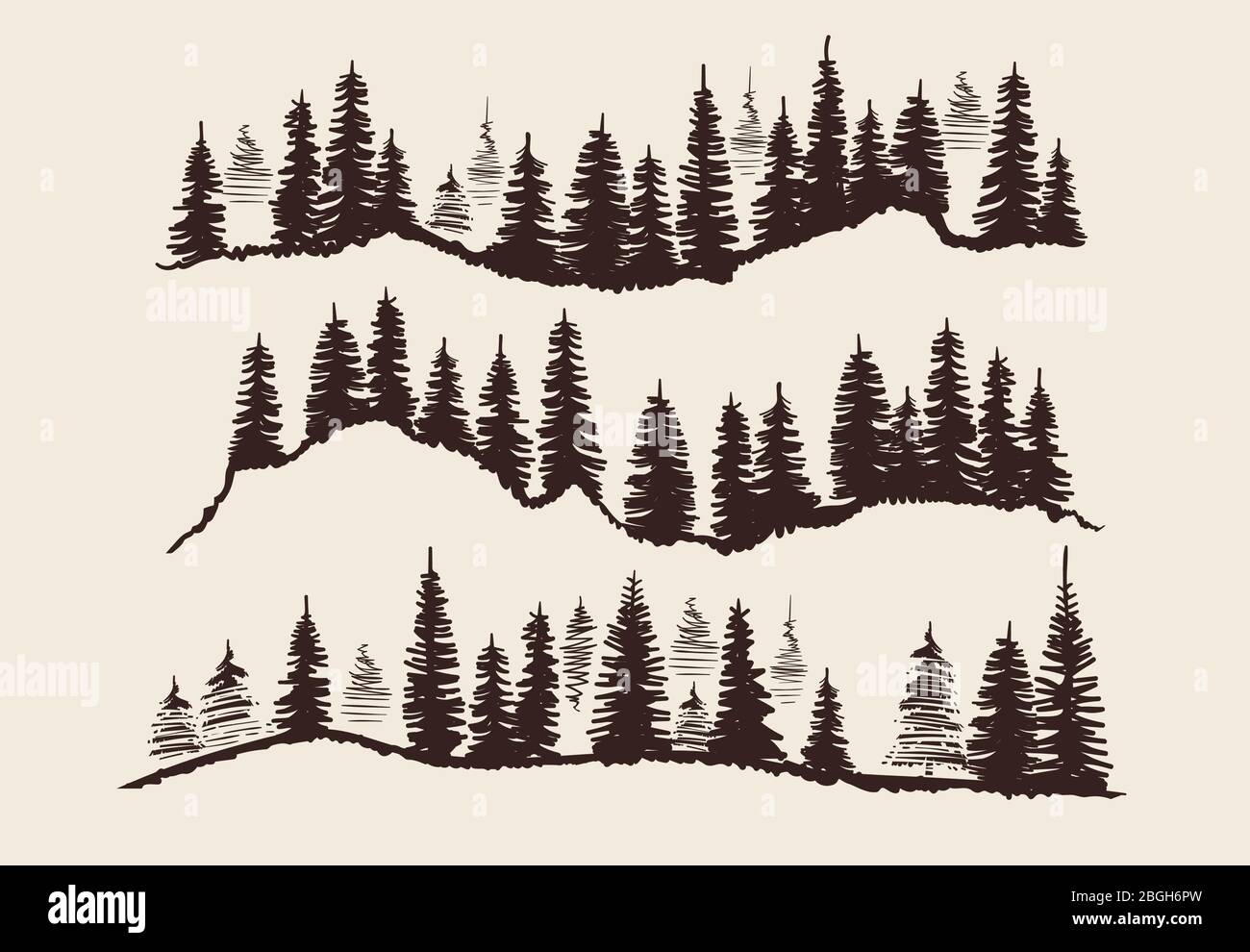 Forêt de gravure ancienne. Ensemble vectoriel de sapin d'esquisse de ...