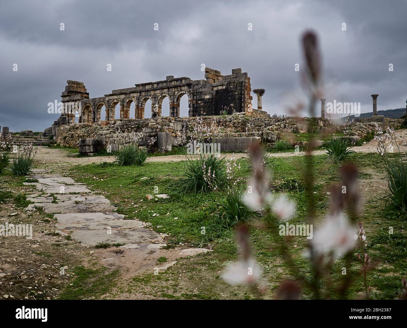 Archaeological site volubilis walili Banque de photographies et d ...