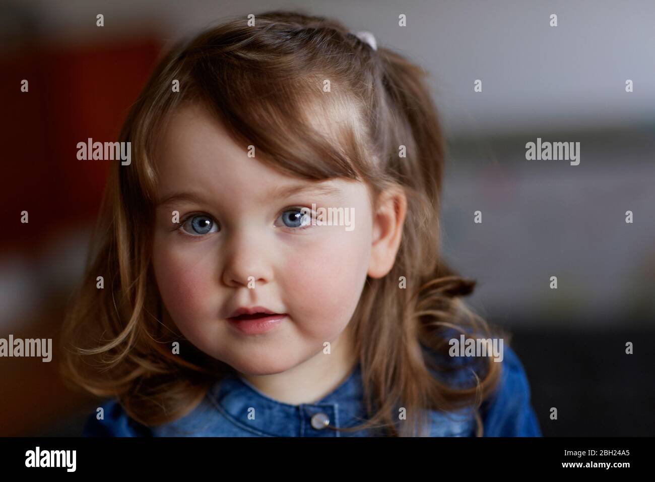 Enfant aux cheveux bruns et aux yeux bleus Banque de photographies et d ...