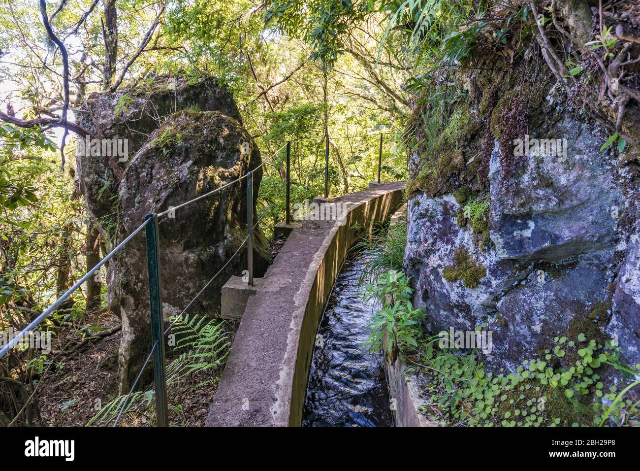 Parc Naturel De Madère Banque d'image et photos - Alamy