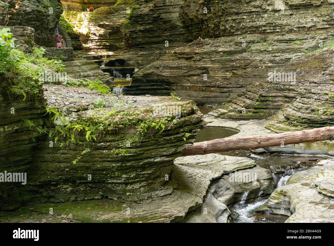 Le parc national Watkins Glen est le plus célèbre des parcs de Finger ...